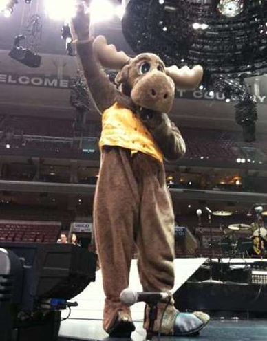 DisneyDManiac: Jonas Brothers Rock! MOOSE STYLE